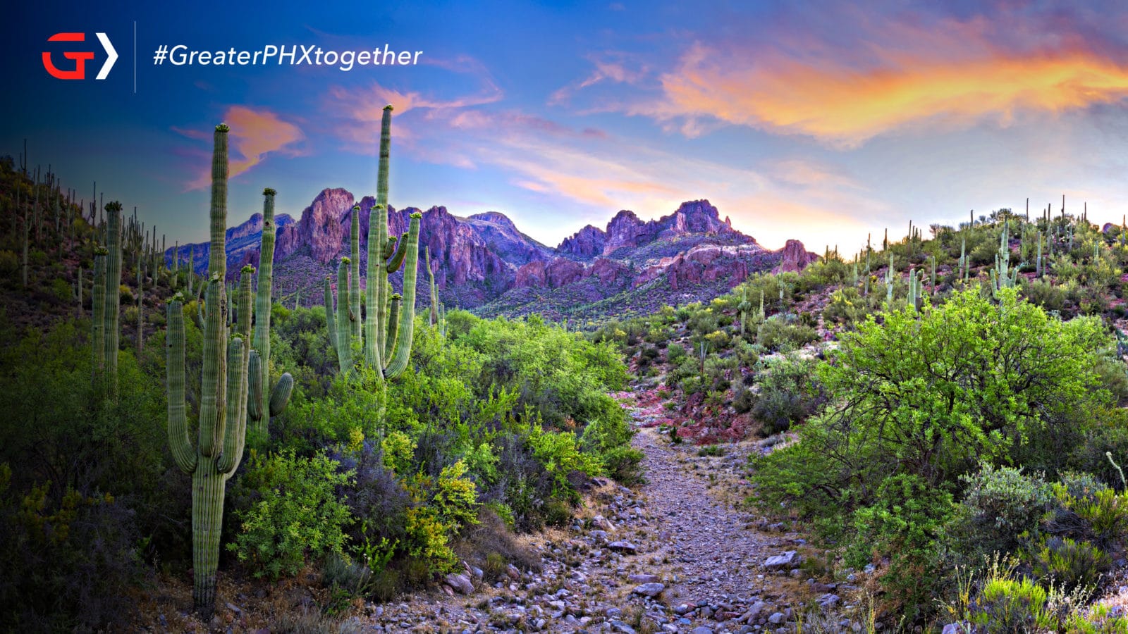 Virtual Zoom Backgrounds | GPEC